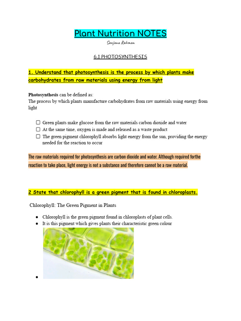 Understanding Plant Photosynthesis | PDF | Photosynthesis | Glucose