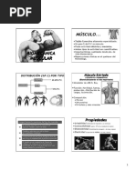 Tema 7. Mecánica Muscular. | PDF | Músculo | Contracción muscular