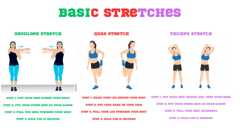 Basic stretches | PDF