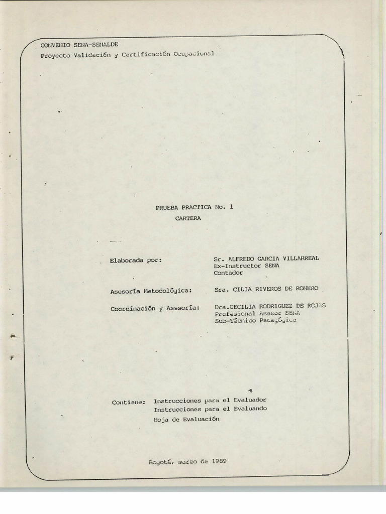 Prueba Practica Aux Cartera | PDF