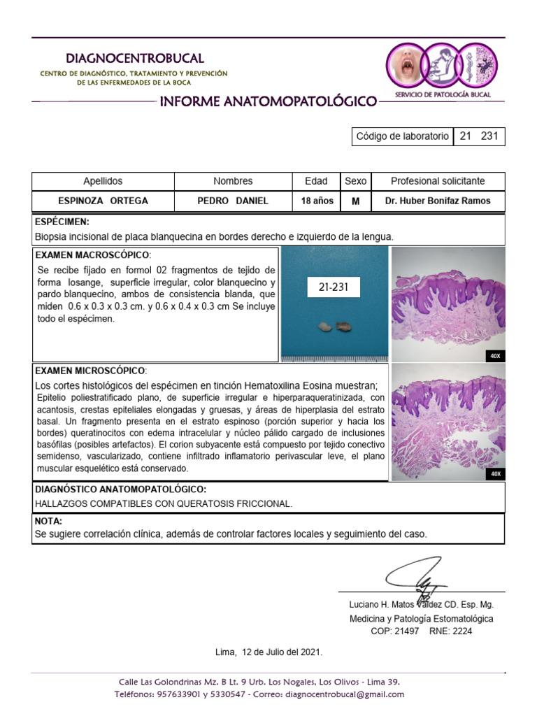 Informe Anatomopatológico - 21-231 B | PDF | Histología | Enfermedades ...