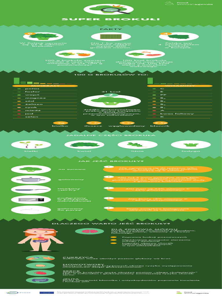 Infografika Brokuł | PDF