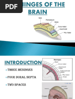 Dural Folds and Their Functions | PDF | Human Anatomy | Human Head And Neck