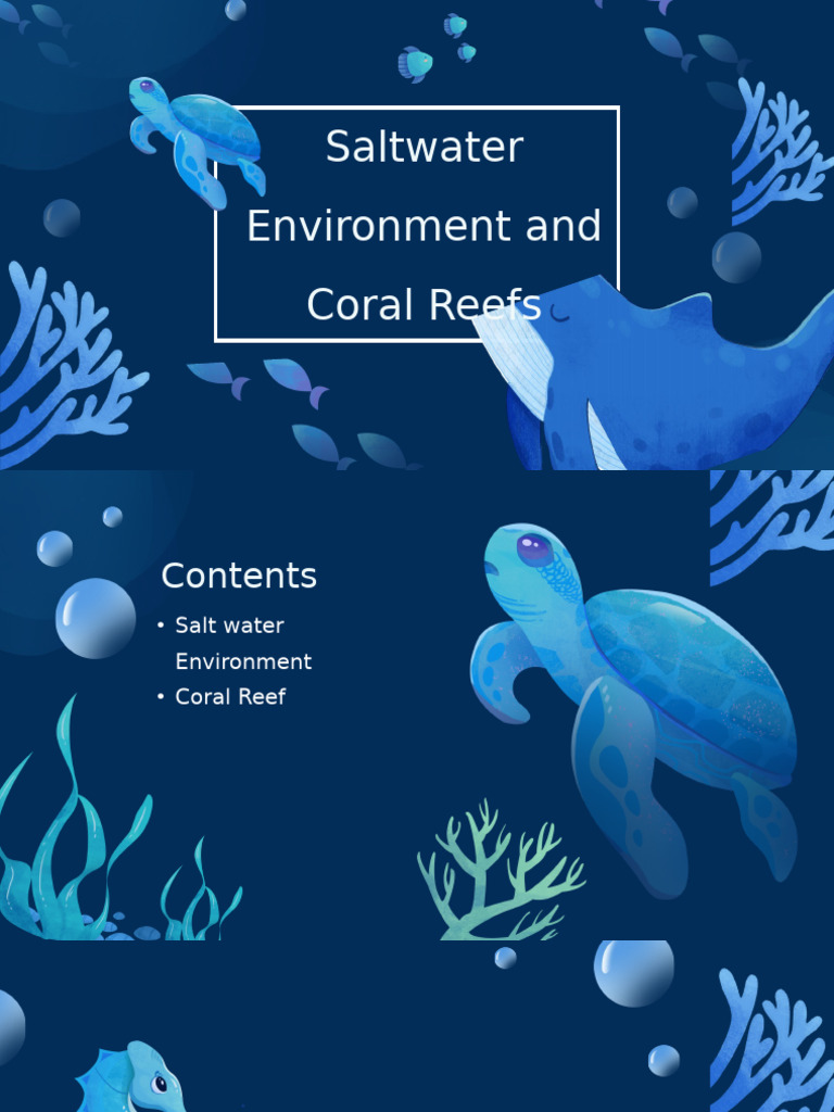Saltwater Ecosystems and Coral Reefs | PDF | Oceans | Coral Reef