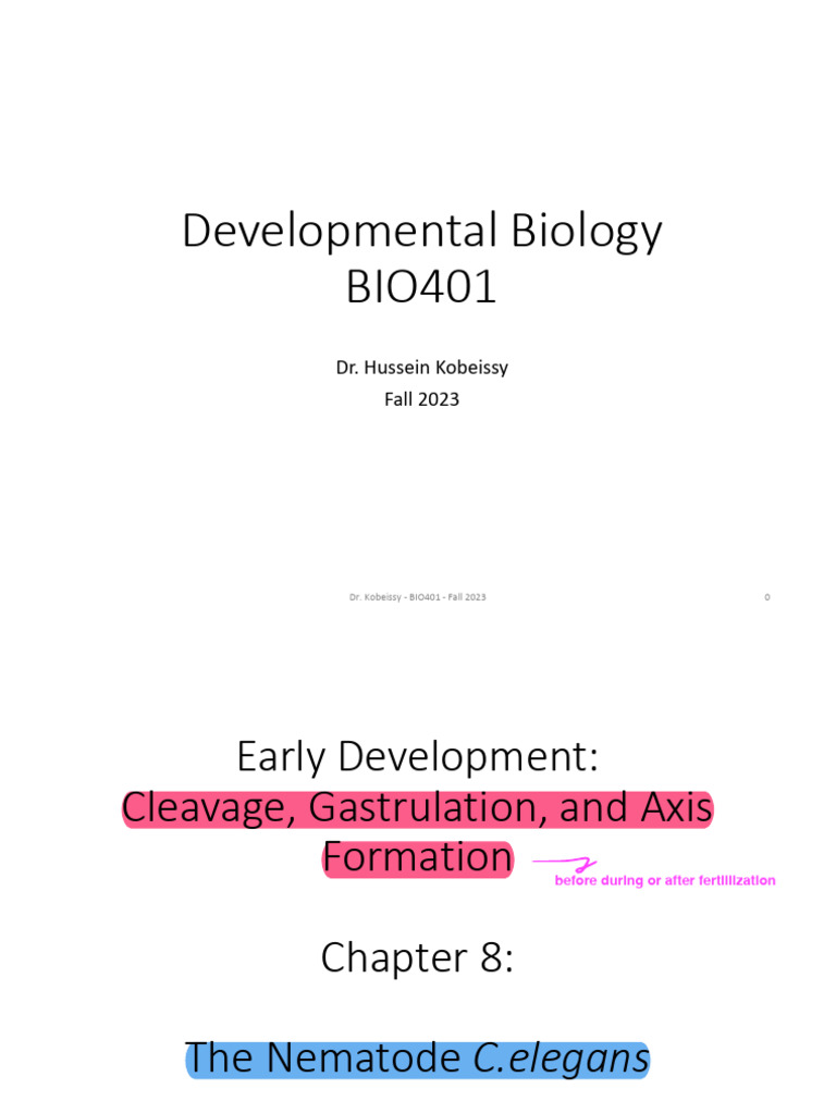 Bio401-Chp8 | PDF | Anatomy | Cell Biology