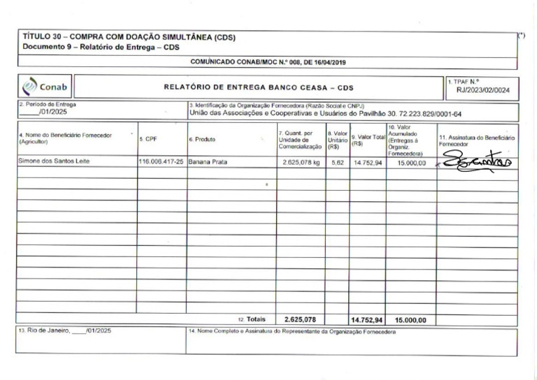 Relatório de Entrega Simone | PDF