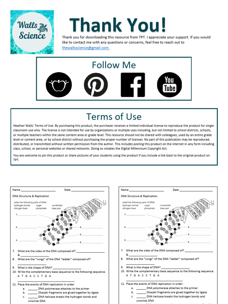 DNA Cell Cycle Bell Ringers | PDF | Dna Replication | Dna