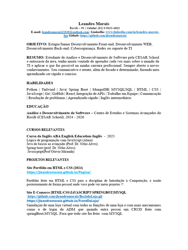 Currículo Tech Leandro | PDF