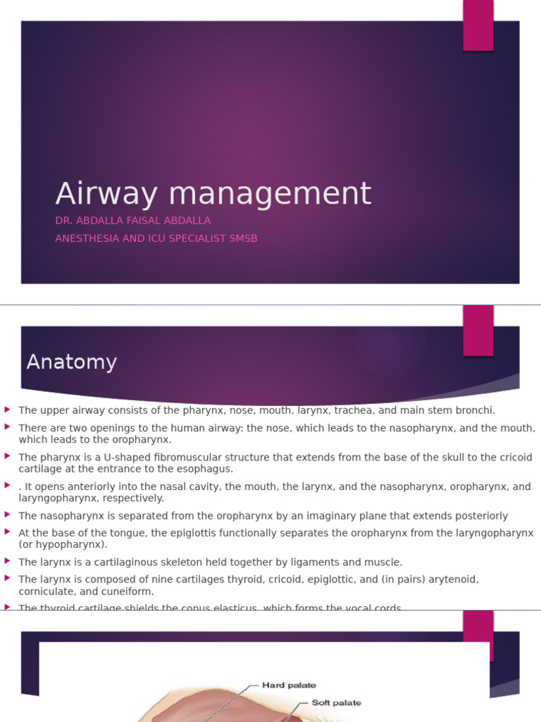 Airway Management | PDF | Larynx | Otorhinolaryngology