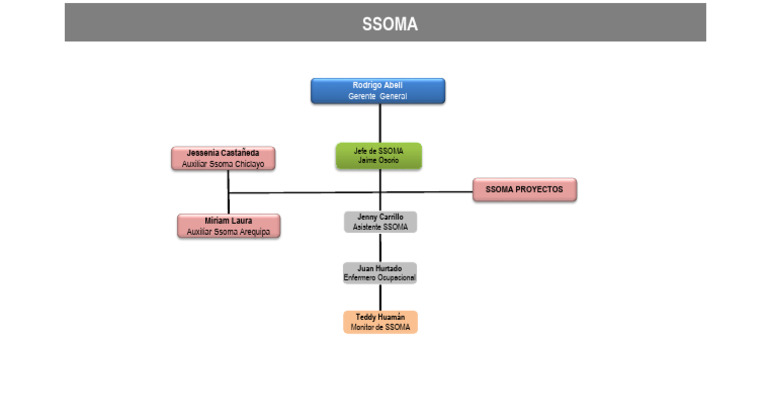 Estructura del Equipo SSOMA 2021 | PDF