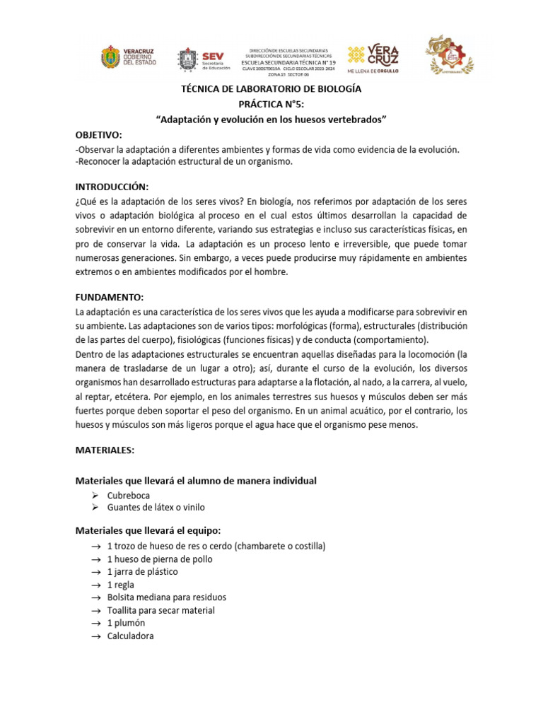 5.ADAPTACI-N Y EVOLUCI-N EN LOS HUESOS | PDF | Adaptación | Evolución