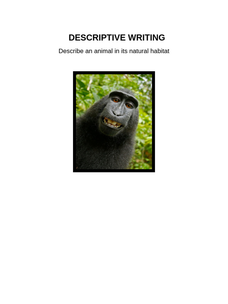 Describing a Monkey in the Jungle | PDF