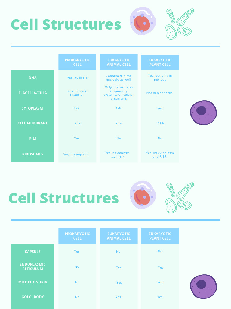 Cell Structures Chart. Biology | PDF