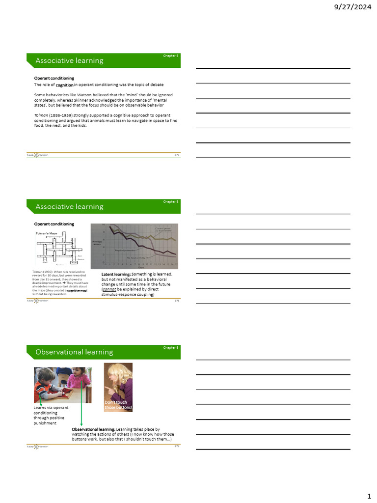 ExpPsy CogPsy 20242025 Lecture10 | PDF | Word | Phoneme