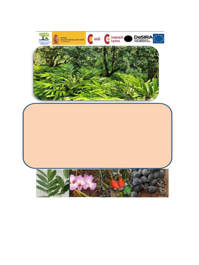 Korarima Manual Booklet | PDF | Flowers | Pruning