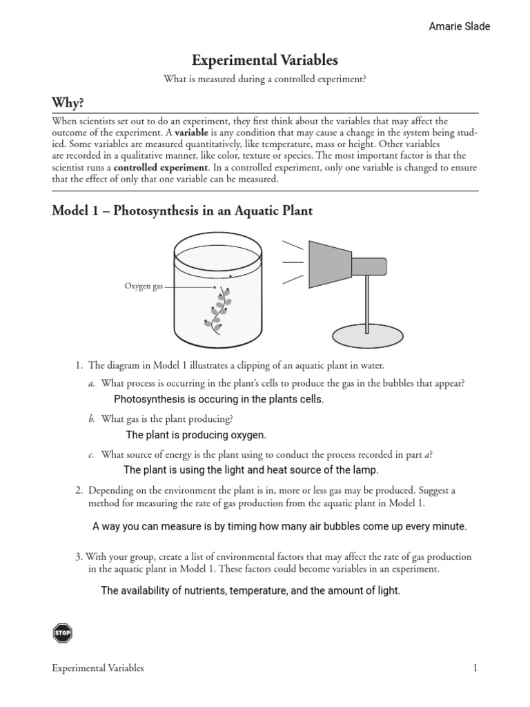 Kami Export - Amarie Slade - Problem Set - Experimental Variables | PDF | Experiment | Plants
