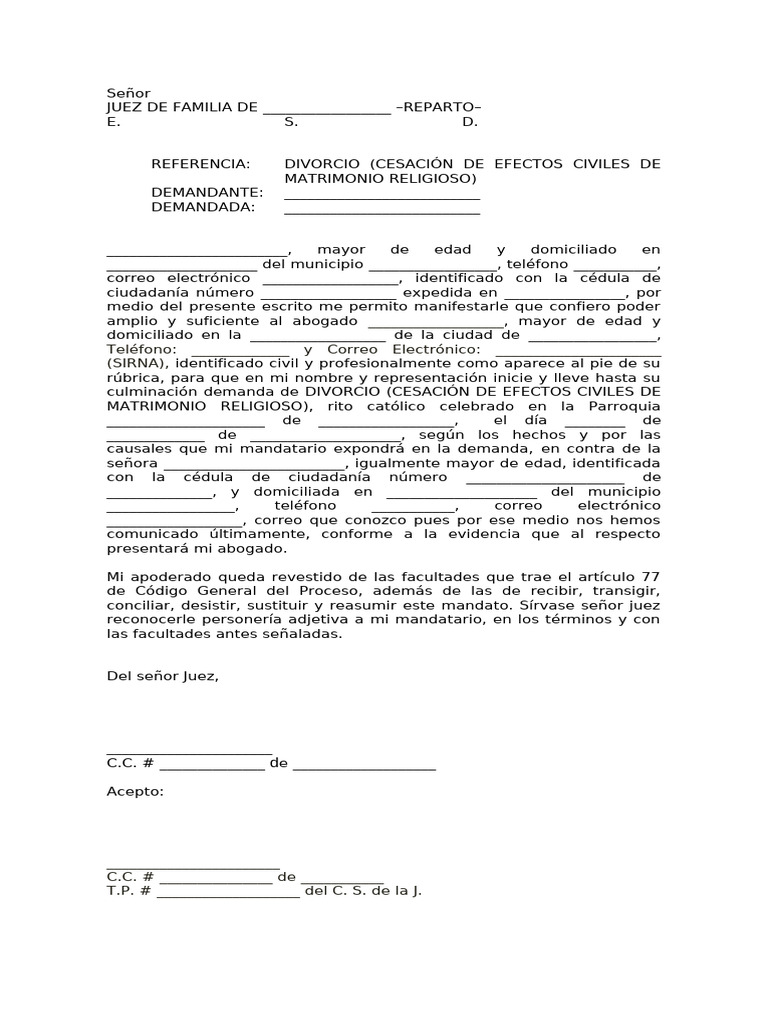 Modelo Poder Divorcio | PDF