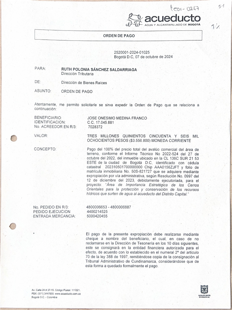 Orden de Pago - Ceor - 257 | PDF