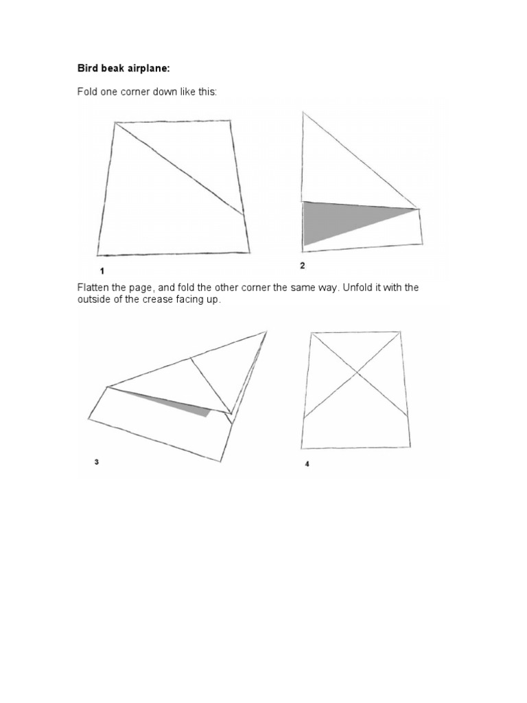 Bird Beak Paper Airplane | PDF