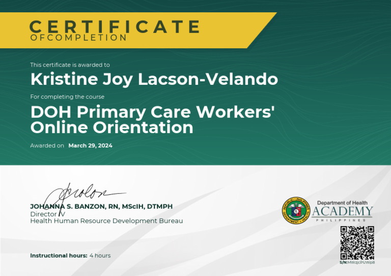 Primary Care Workers' Certificate | PDF