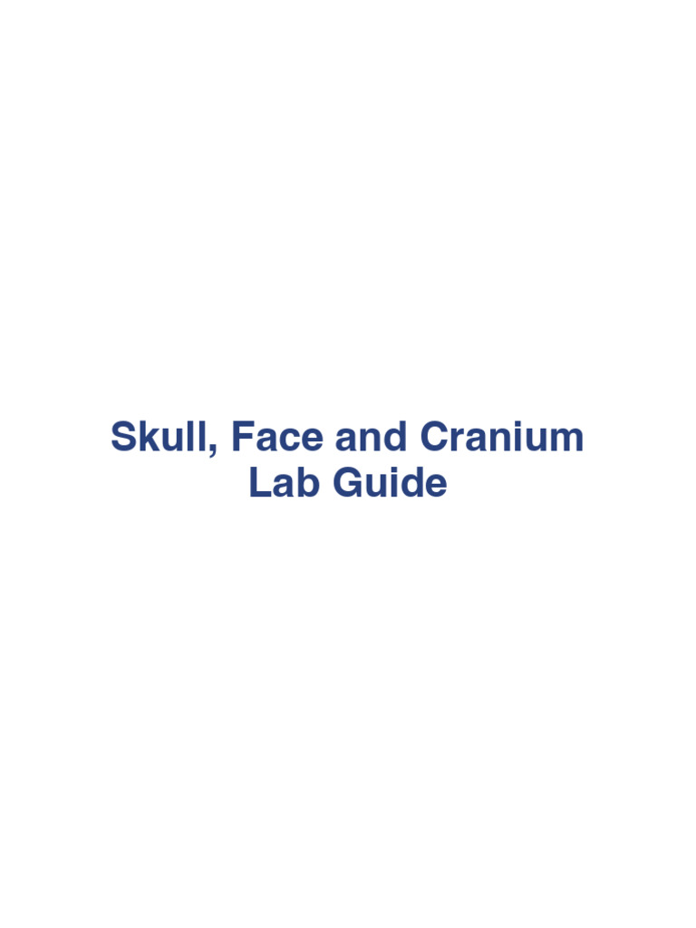 skull-face-cranium | PDF | Skull | Brainstem