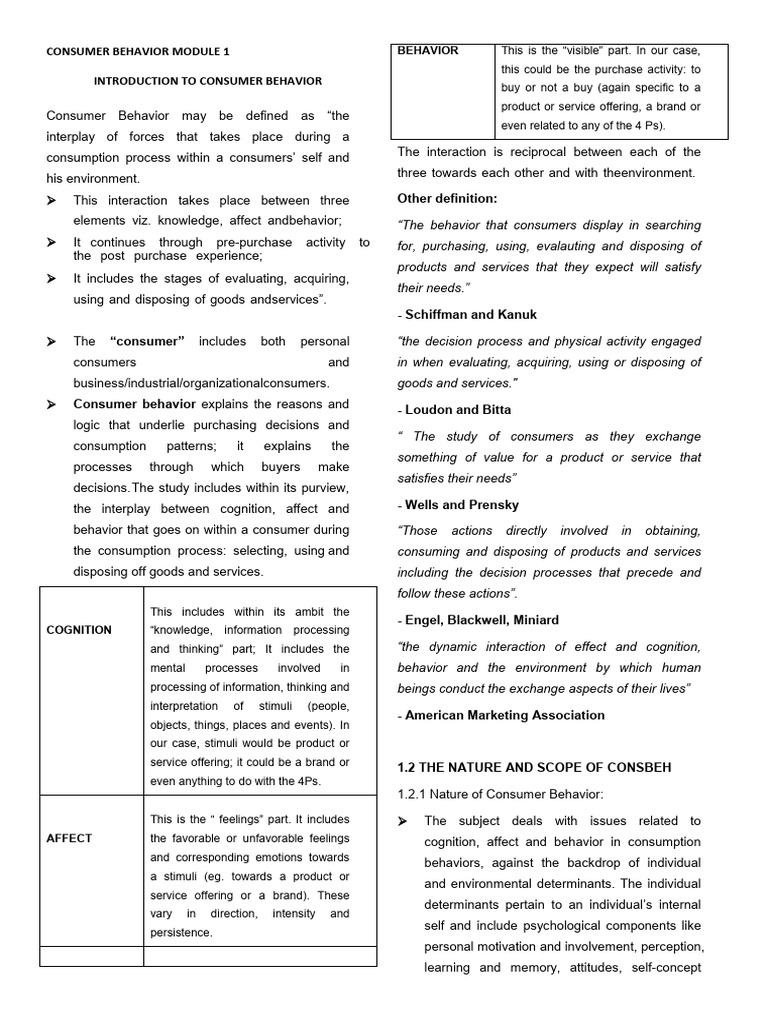 Understanding Consumer Behavior Basics | PDF | Behavior | Consumer ...