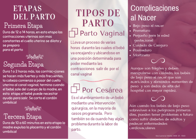 Etapas y Tipos de Parto: Guía Completa | PDF | Parto | La salud de la mujer