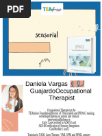 OT Sensory Profile Adolescent Self Questionnaire | PDF