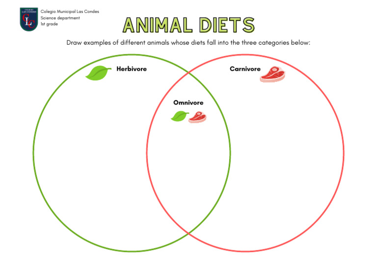 Animal Diet | PDF