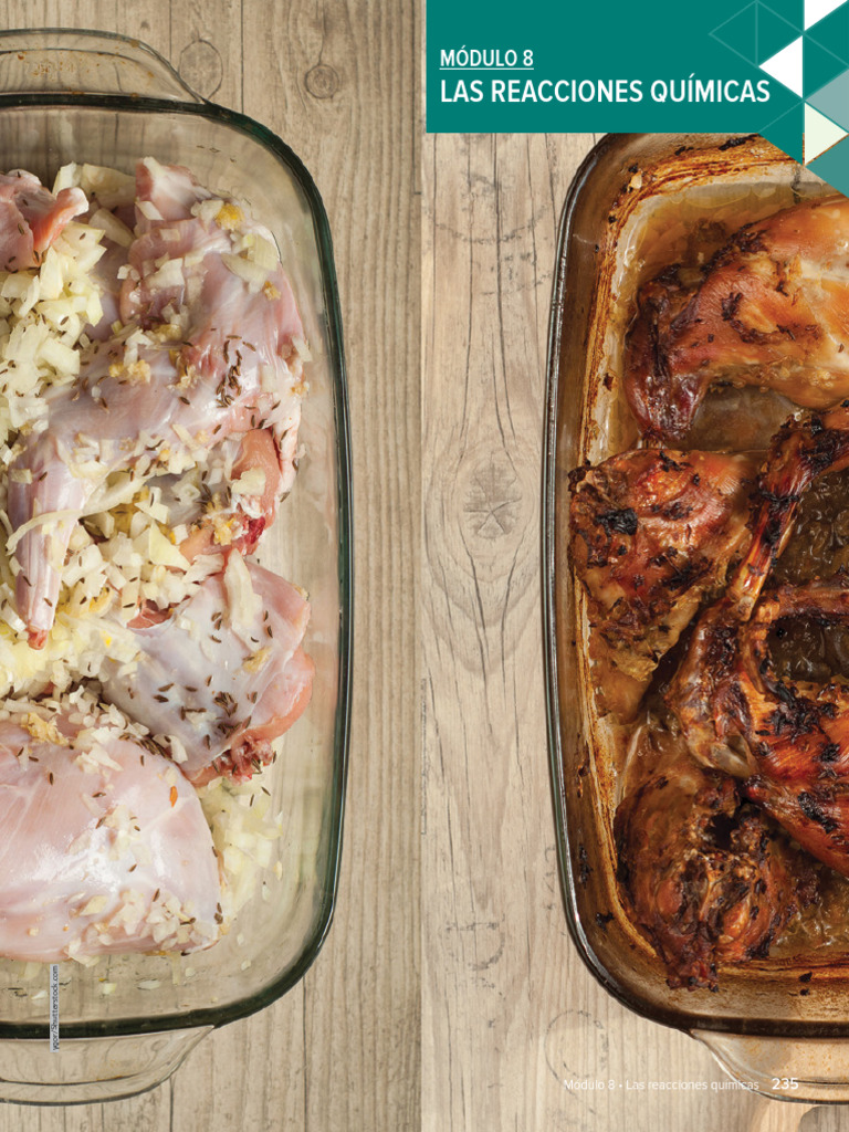 Spanish Student Edition - Chemical Reactions | PDF | Hidróxido | Combustión