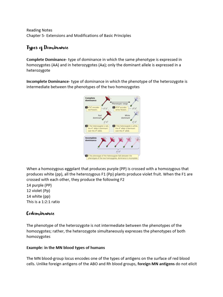 MN Blood Types and Allele Frequencies | PDF | Dominance (Genetics) | Allele