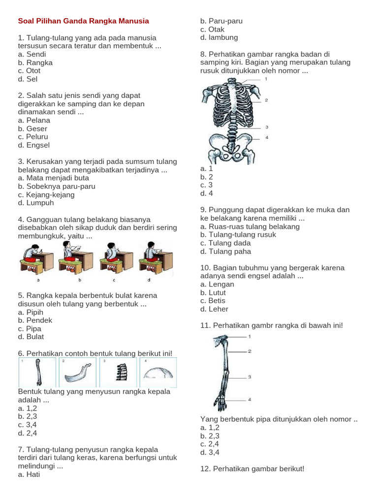 Soal Pilihan Ganda Rangka Manusia | PDF