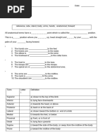 Directional Terms Worksheet | PDF | Anatomical Terms Of Location | Elbow
