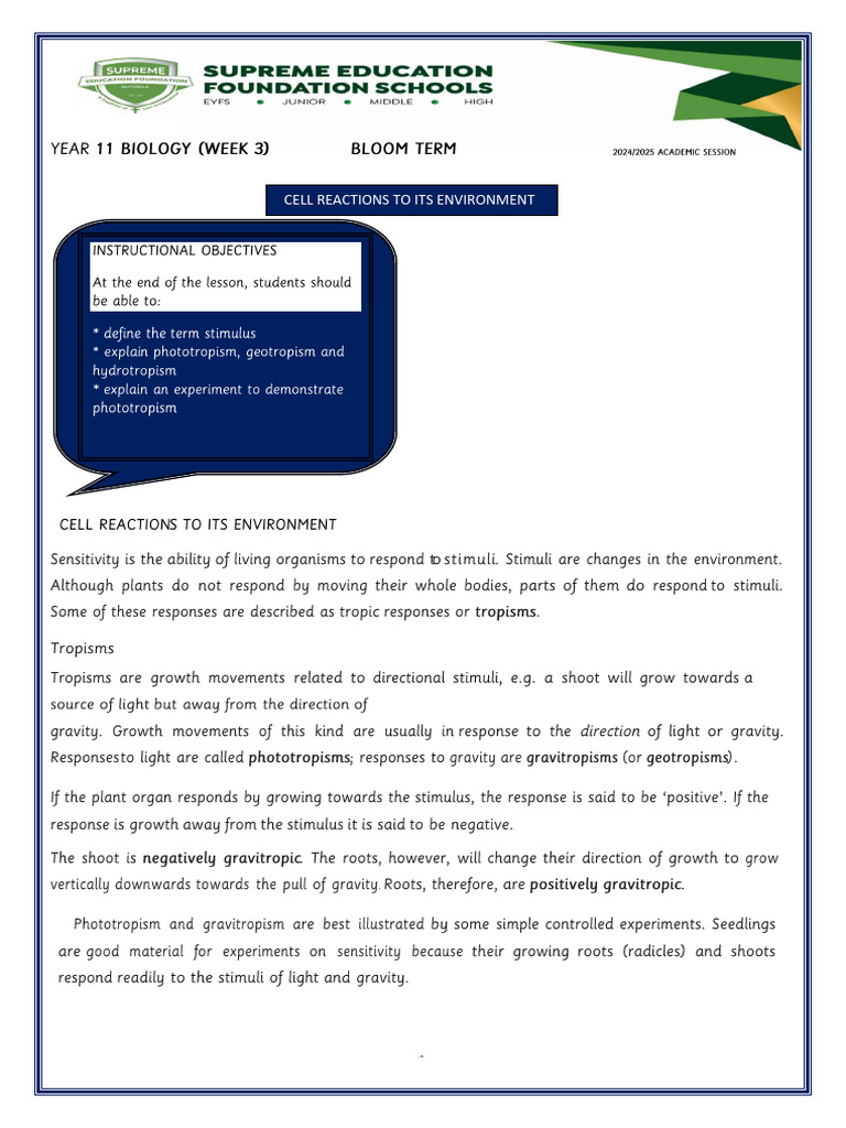 Year 11 20242025 Bloom Term Biology Week 3 | PDF