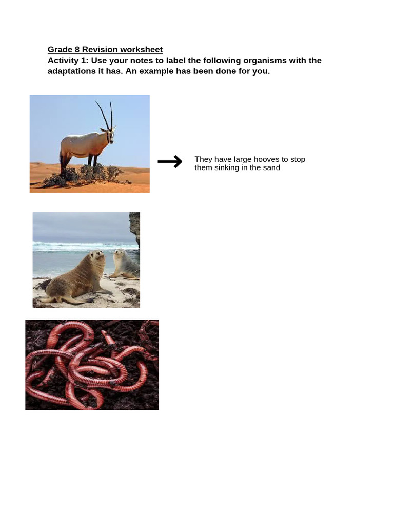 Grade 8 Revision Worksheet Activity 1: Use Your Notes To Label The ...