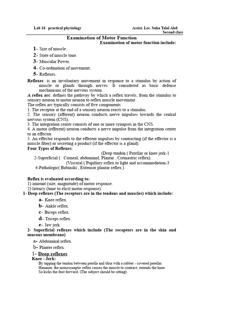 Motor Function and Reflex Examination Guide | PDF | Anatomical Terms Of ...