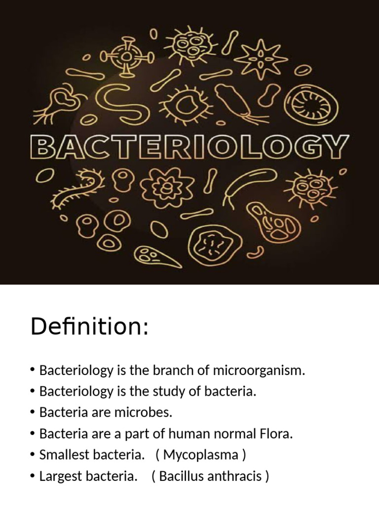 Bacteriology | PDF