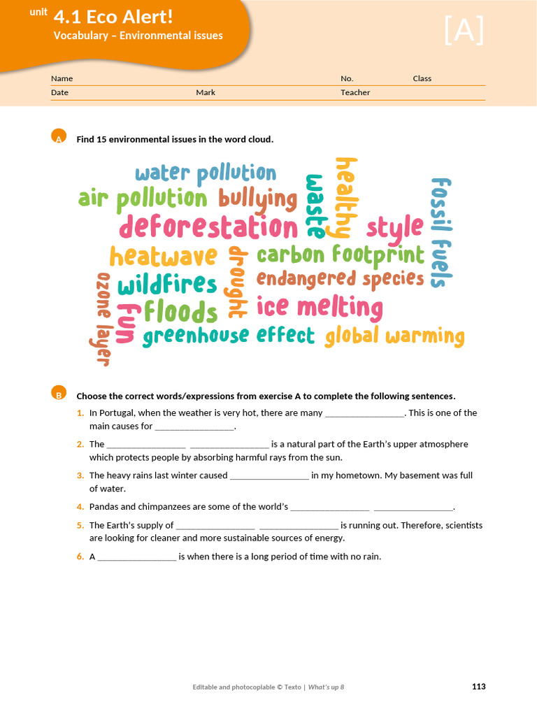 Environmental Issues and Solutions Worksheet | PDF | Energy Development ...