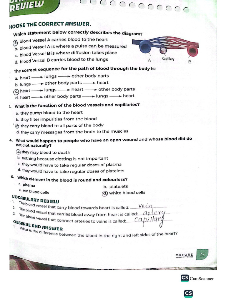 Unit 3 Science | PDF