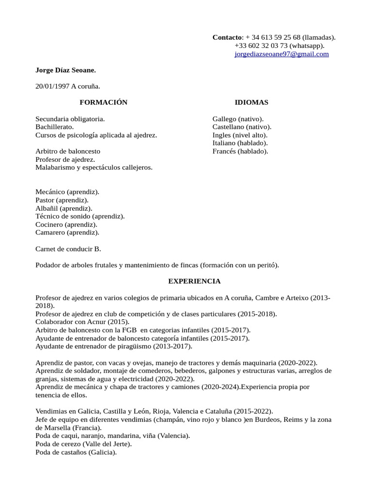CV Jorge | PDF