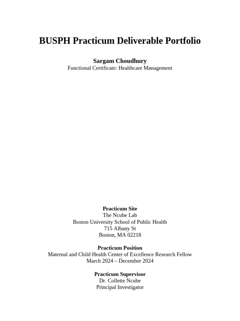 Choudhury - BUSPH Practicum Deliverable Portfolio | PDF | Microsoft Excel | Computer File