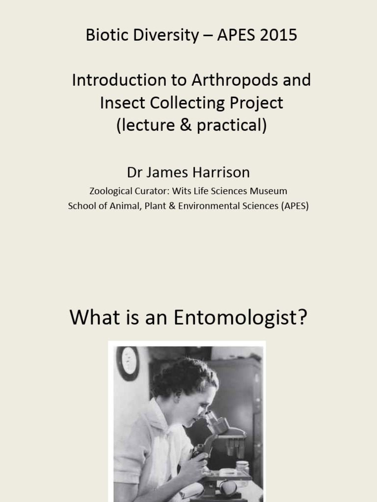 Biotic Diversity - 2016 - Insect Collection - DR J. Harrison - For ...