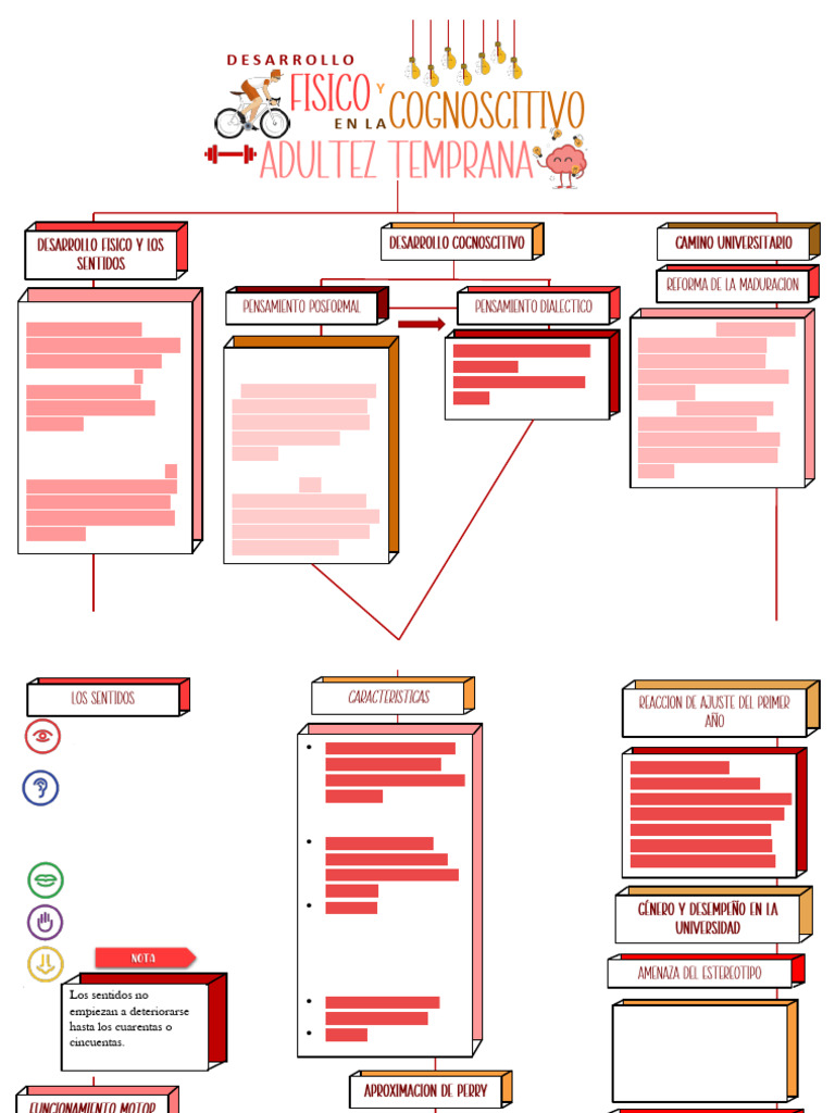 Desarrollo Físico y Cognoscitivo en La Adultez Temprana | PDF | Adultos | Estrés (biología)