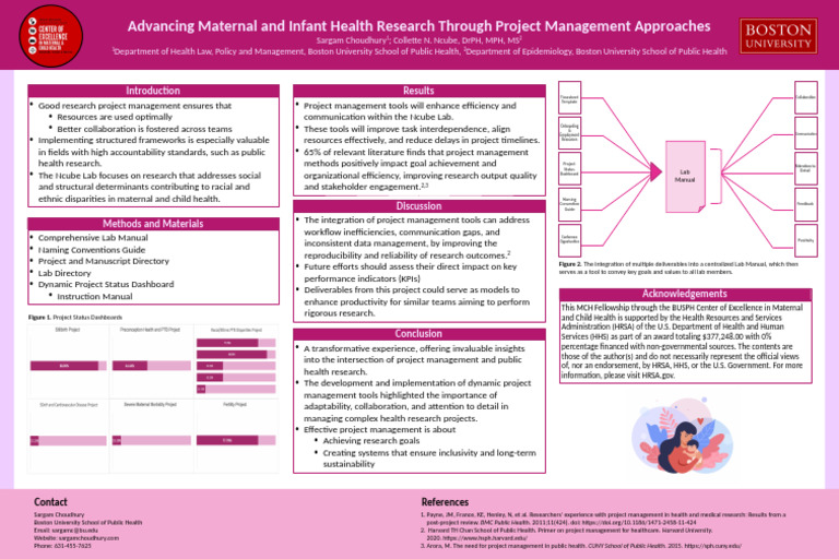 Mch Forum Poster | PDF | Project Management | Public Health
