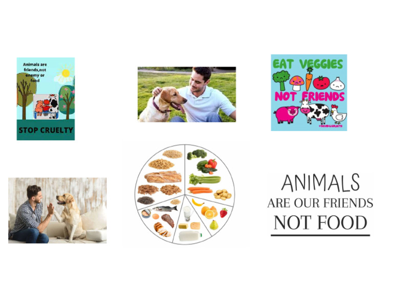 Food Animals Friends | PDF