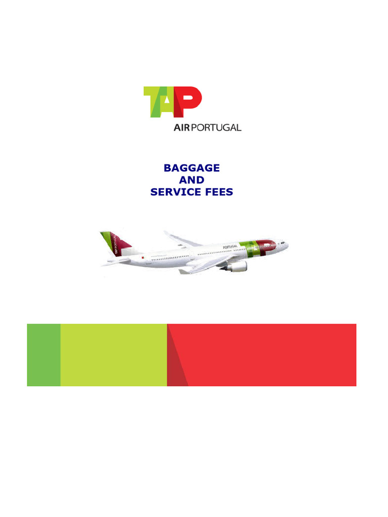 Excess Baggage Charges | PDF
