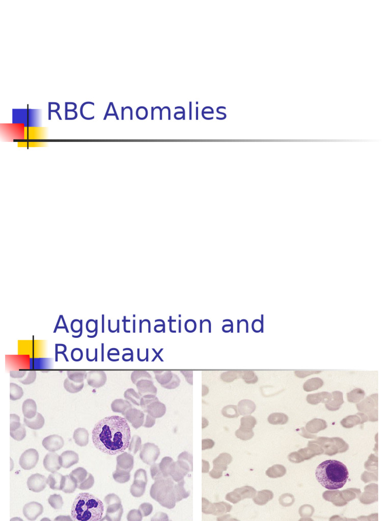 Hematology: RBC Anomalies & Anemia | PDF