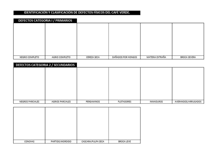 Defectos Físicos en Café Verde | PDF