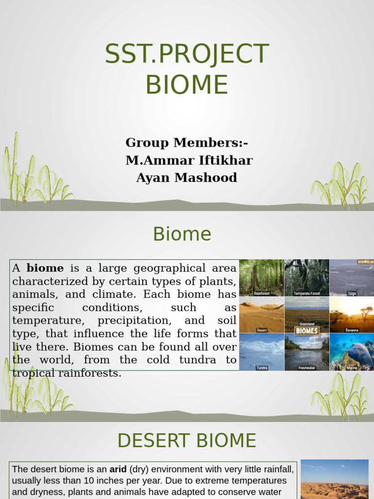 SST ppt (1) | PDF | Desert | Rain