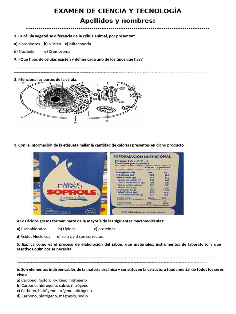 Examen de Ciencia y Tecnología | PDF